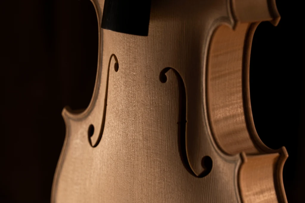 Servizi Liutaio - Borroni Violins